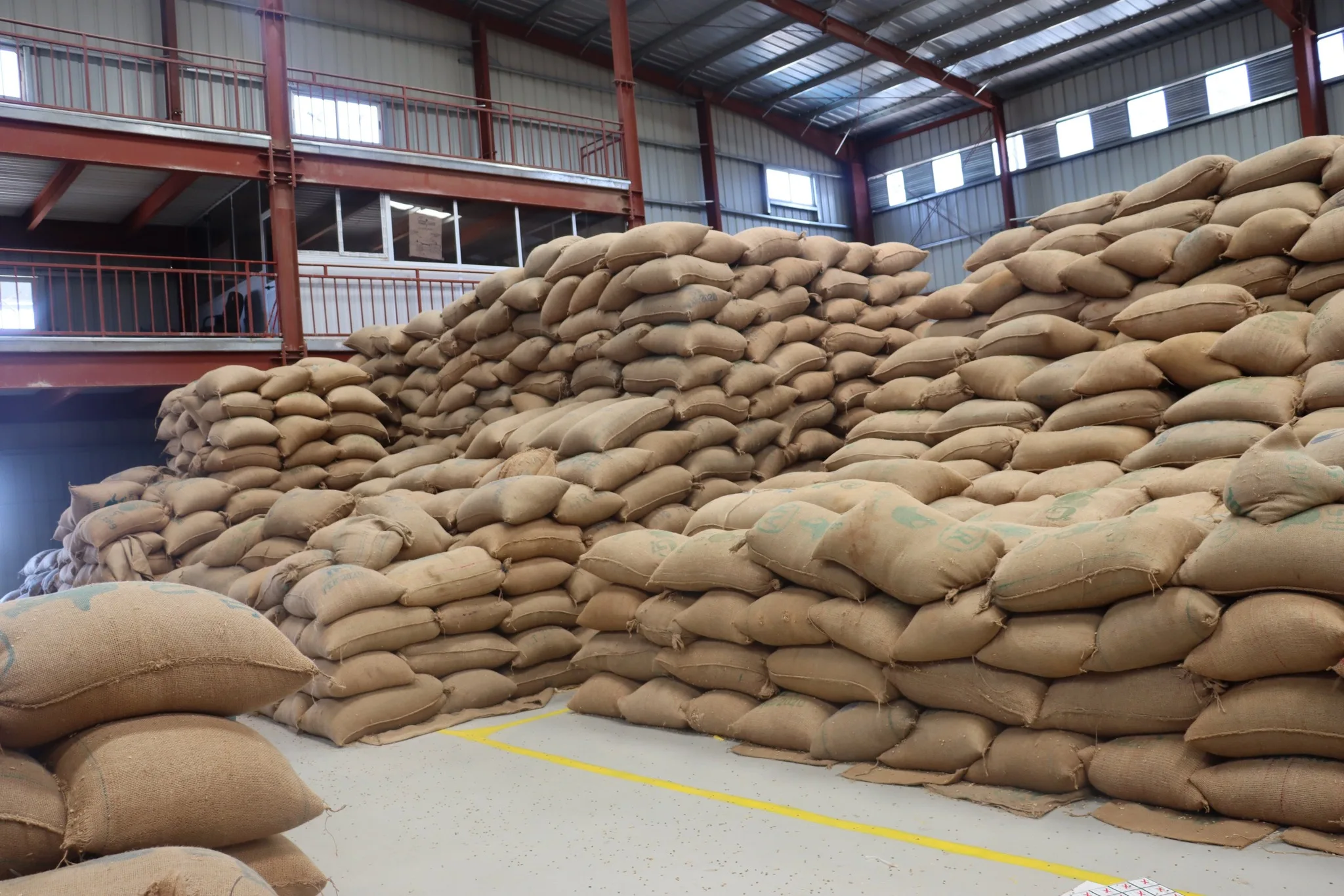 Quality Arise Ethical Coffee Beans - Buy 100 Arabica Ground Coffee ...