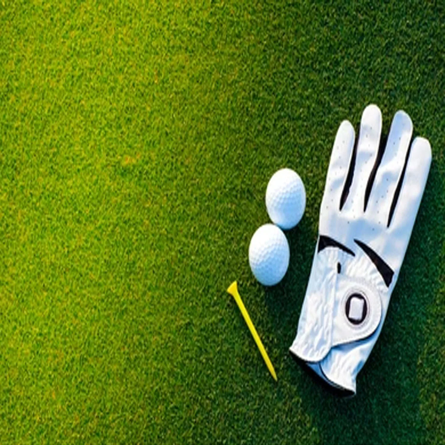 Ladies Purple Color Sublimation Design Sports Golf Gear Gloves Are Made ...