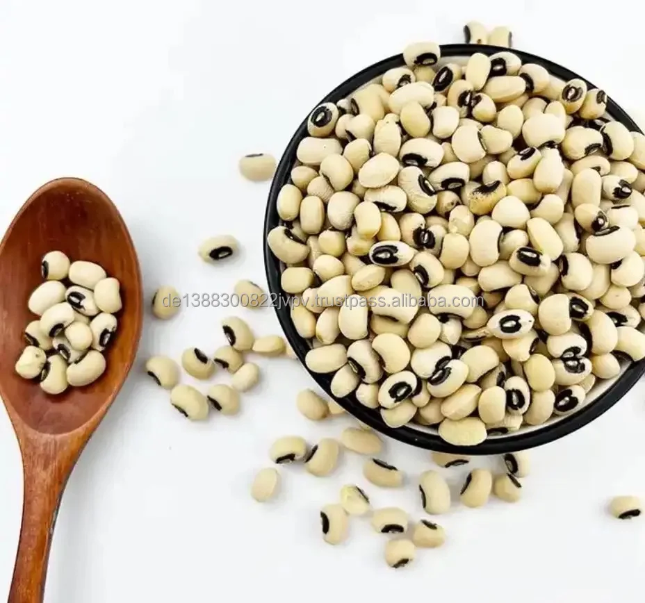 Natural Black Eyed Peas Cowpea Beans Dried Bulk From Brazil Exporter ...