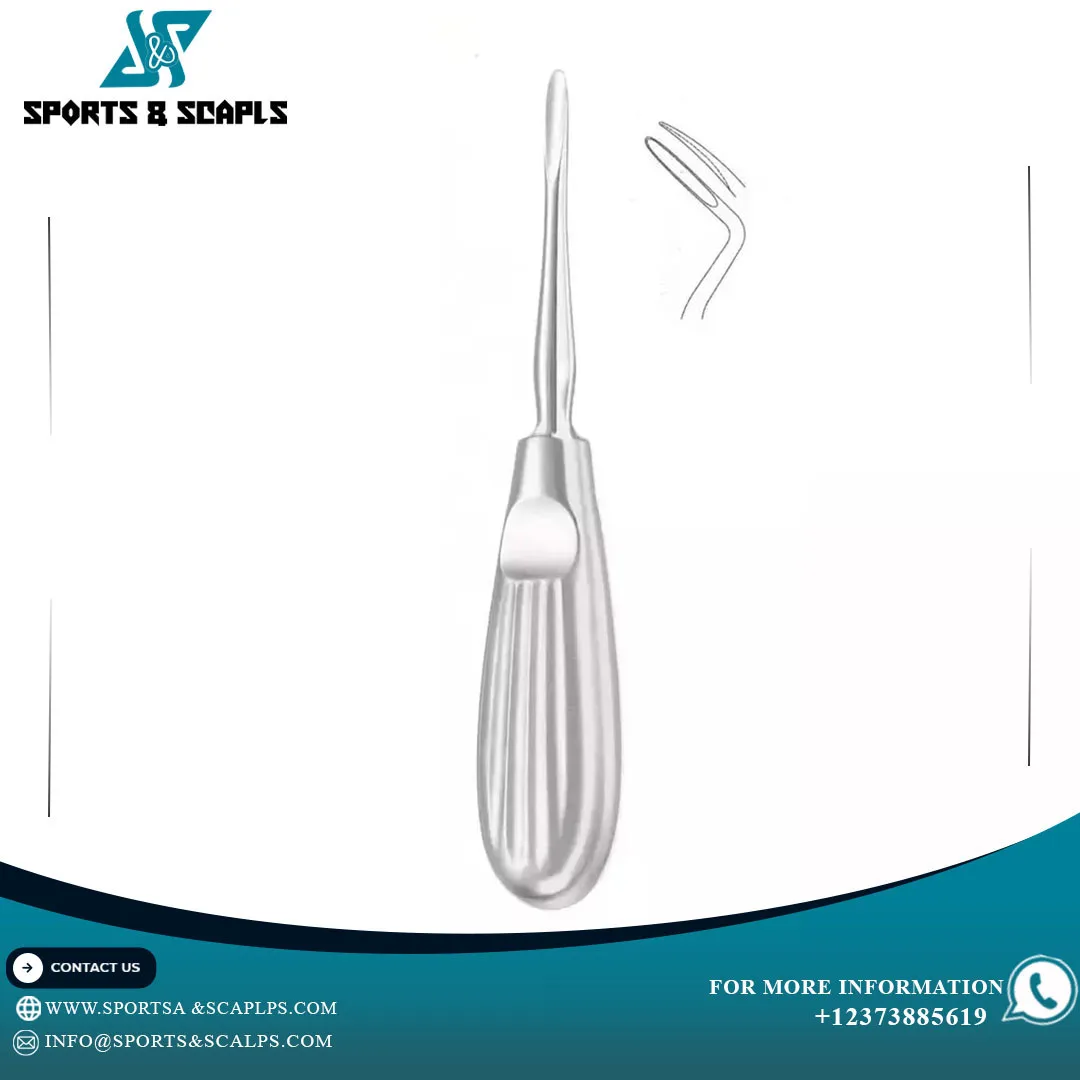 Dental Root Elevators Bein Curved Roots Elevator Stainless Steel Dental Instruments Premium ...