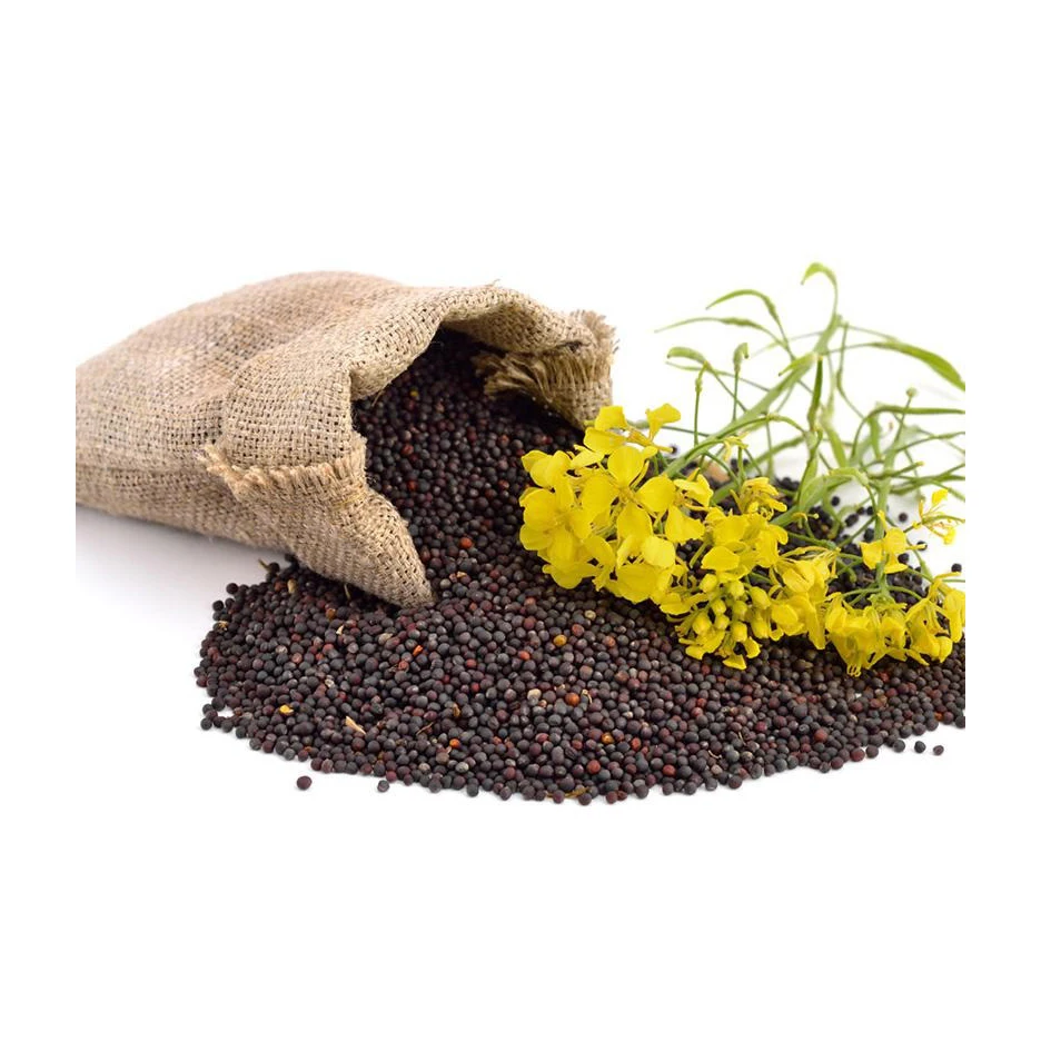 Black Rape Canola Seed Rape Seed Cleaned For Sale - Buy Wholesale ...