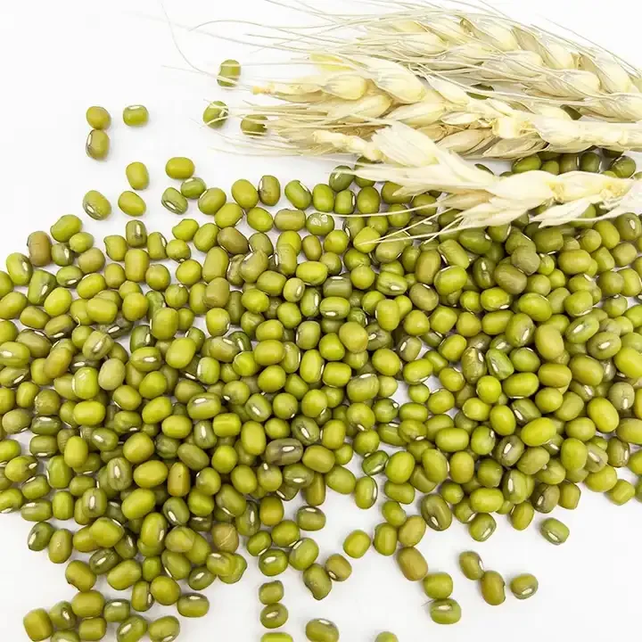 Green Mung Beans Green Mung Bean Latest Crop Supply Different Size Mung ...