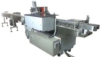 Automatic Horizontal Type Continuous Motion Cartoning Machine (for ...