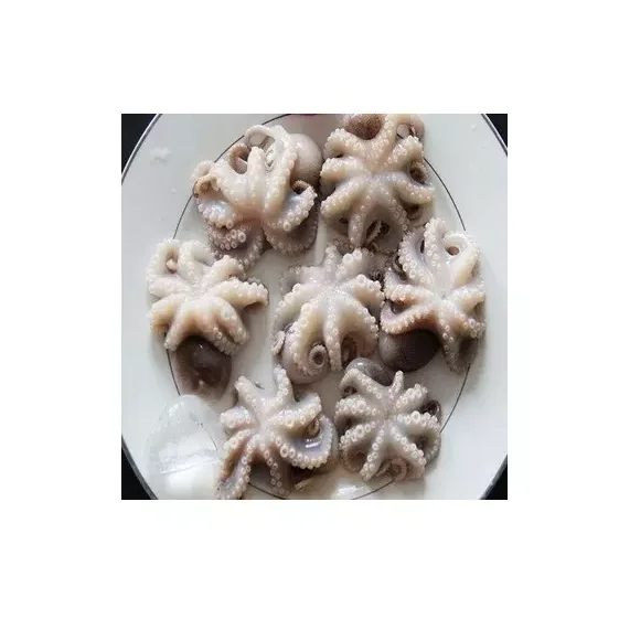 Cheap Frozen Baby Octopus/big Size Octopus With Competitive Price ...