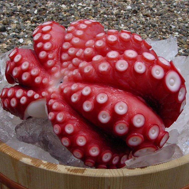 High Quality Baby Octopus - Buy Octopus,Frozen Hairtail Fish Hello ...
