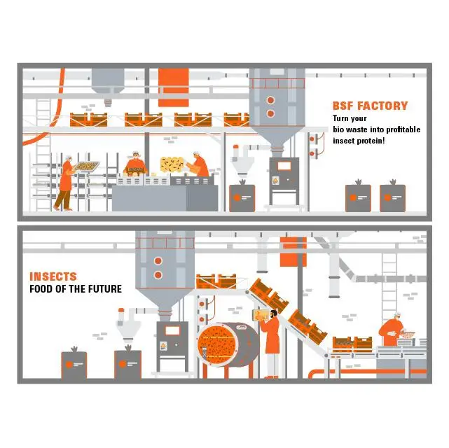 BSF Grain Waste 25t/week Black Soldier Fly Equipment Farm