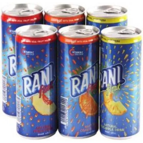 Rani Fruit Juice With Real Fruit Pulp Nature Juice Mango Juice - Buy ...