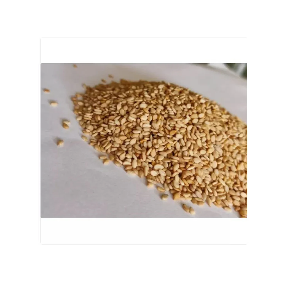 Black Sesame Seed Sesame In High-quality Extract From Black Sesame Seed ...