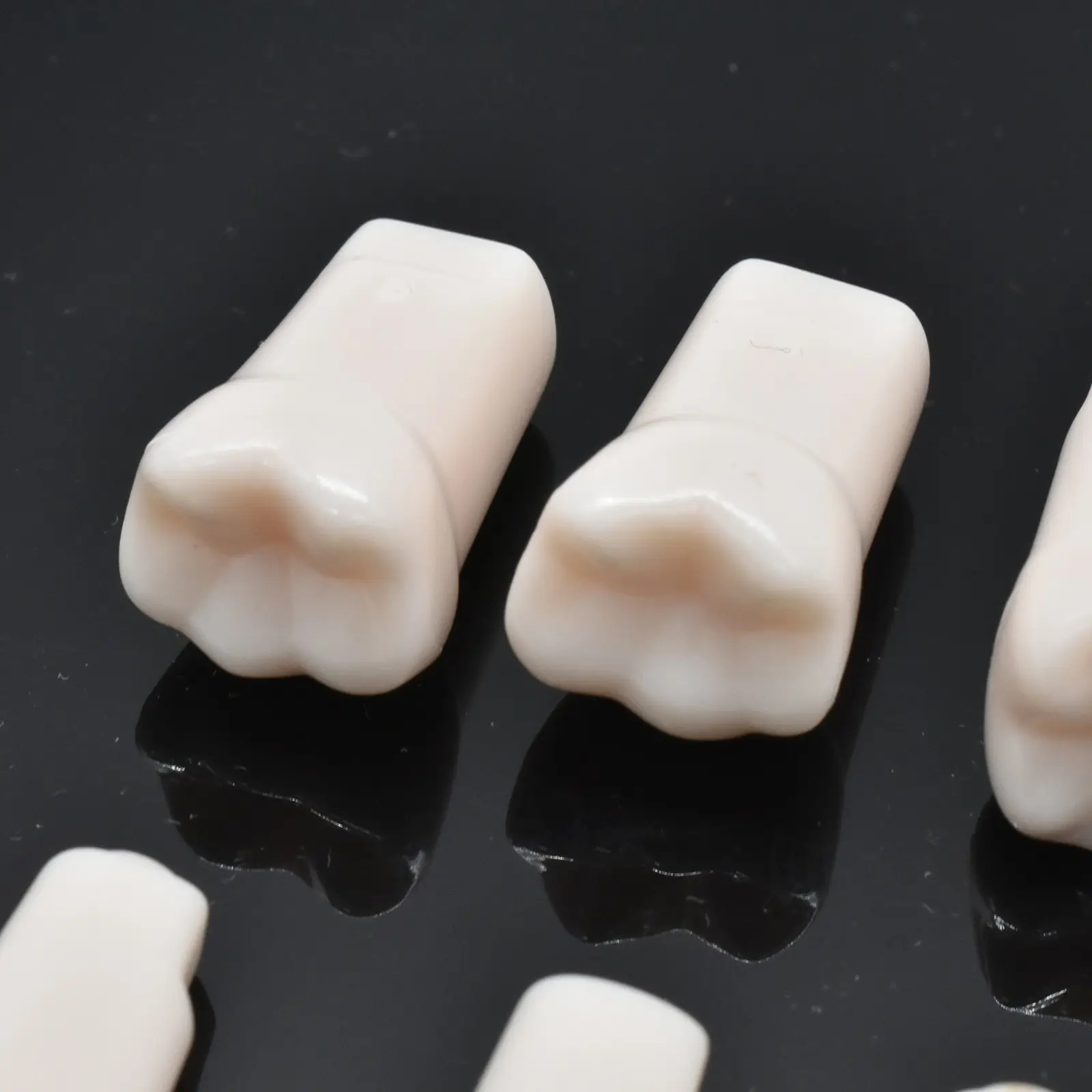 Dental Resin Teeth Typodont Model 28pcs Removable Tooth For Practice ...