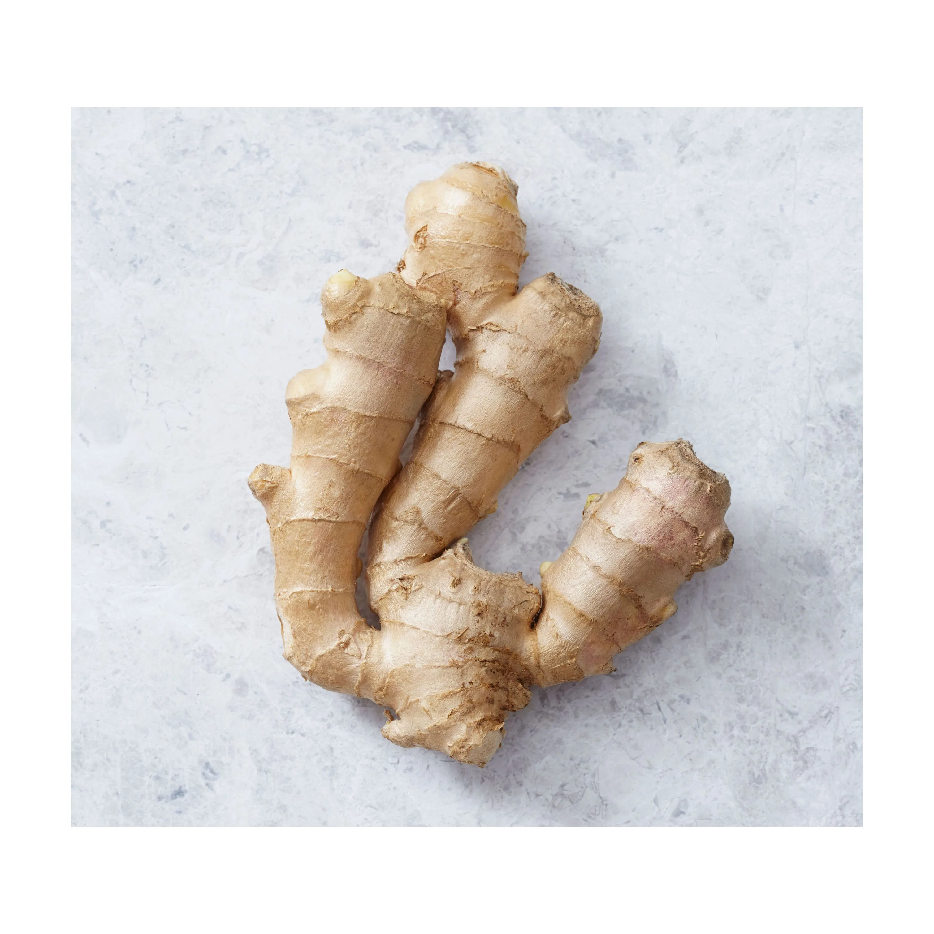 Fresh Ginger With 100% Natural Ginger From Hot Sale Root Market Fresh ...