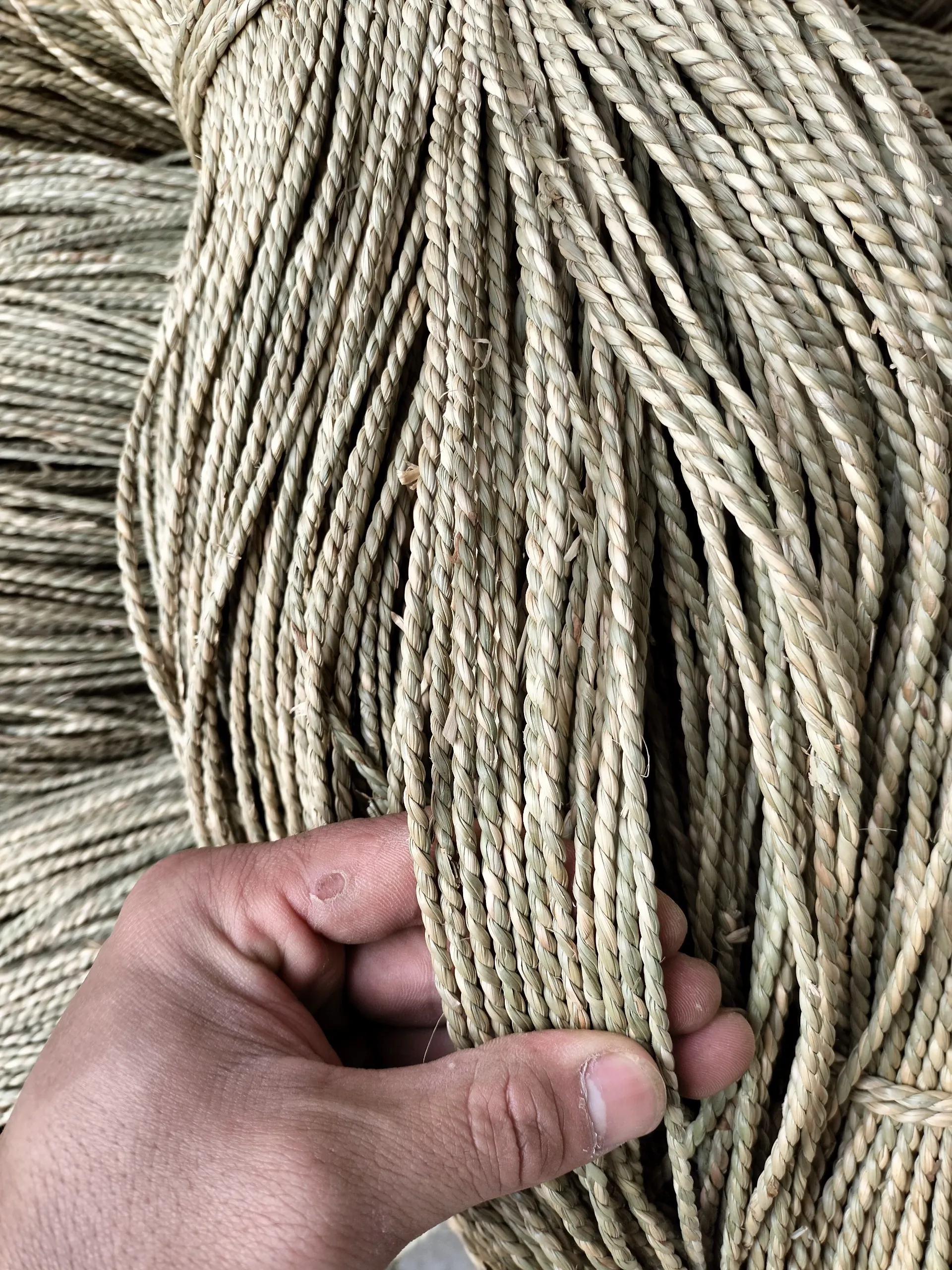 Natural Straw Seagrass Rope from Vietnam - Versatile & Durable