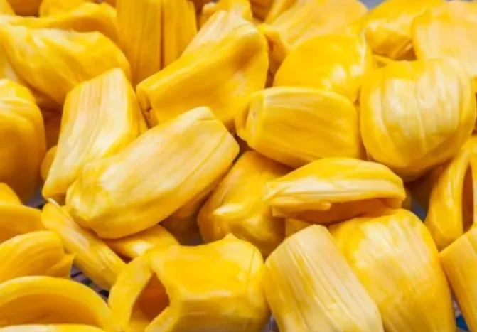 Best Quality Jackfruit in Syrup Canned Food from Vietnam