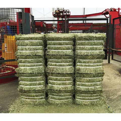 High-protein Alfalfa Hay - Nutrient-rich Feed For Healthy Animals - Buy ...