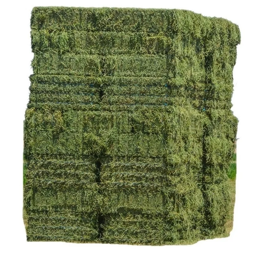 Alfalfa Hay With High Protein For Animal Feeding Timothy Hay/ Alfafa In ...