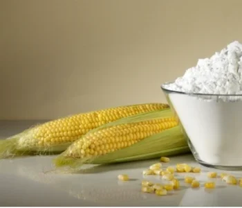 Hot Deal 2024 Export Corn Starch From Viet Nam - Buy Corn Starch From ...