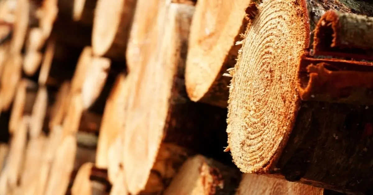 Australia Standard Mgp-10 Pine Wood Lumber Radiata Pine Wood Mgp10 ...