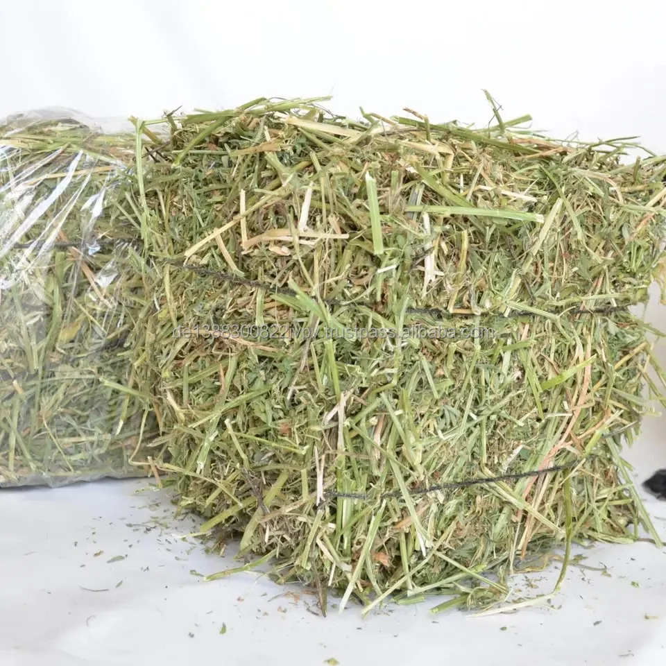 Premium Alfafa Hay / Timothy Hay/dehydrated Alfalfa Cubes Ready For ...