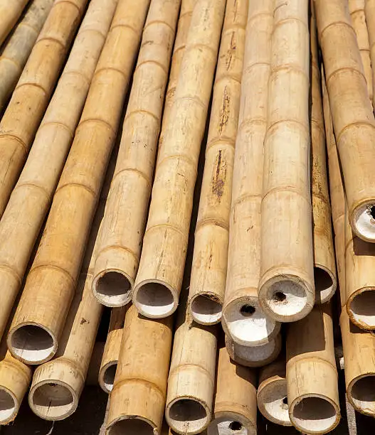 Strong Natural Bamboo Pole From Vietnam For Indoor Outdoor Decoration ...