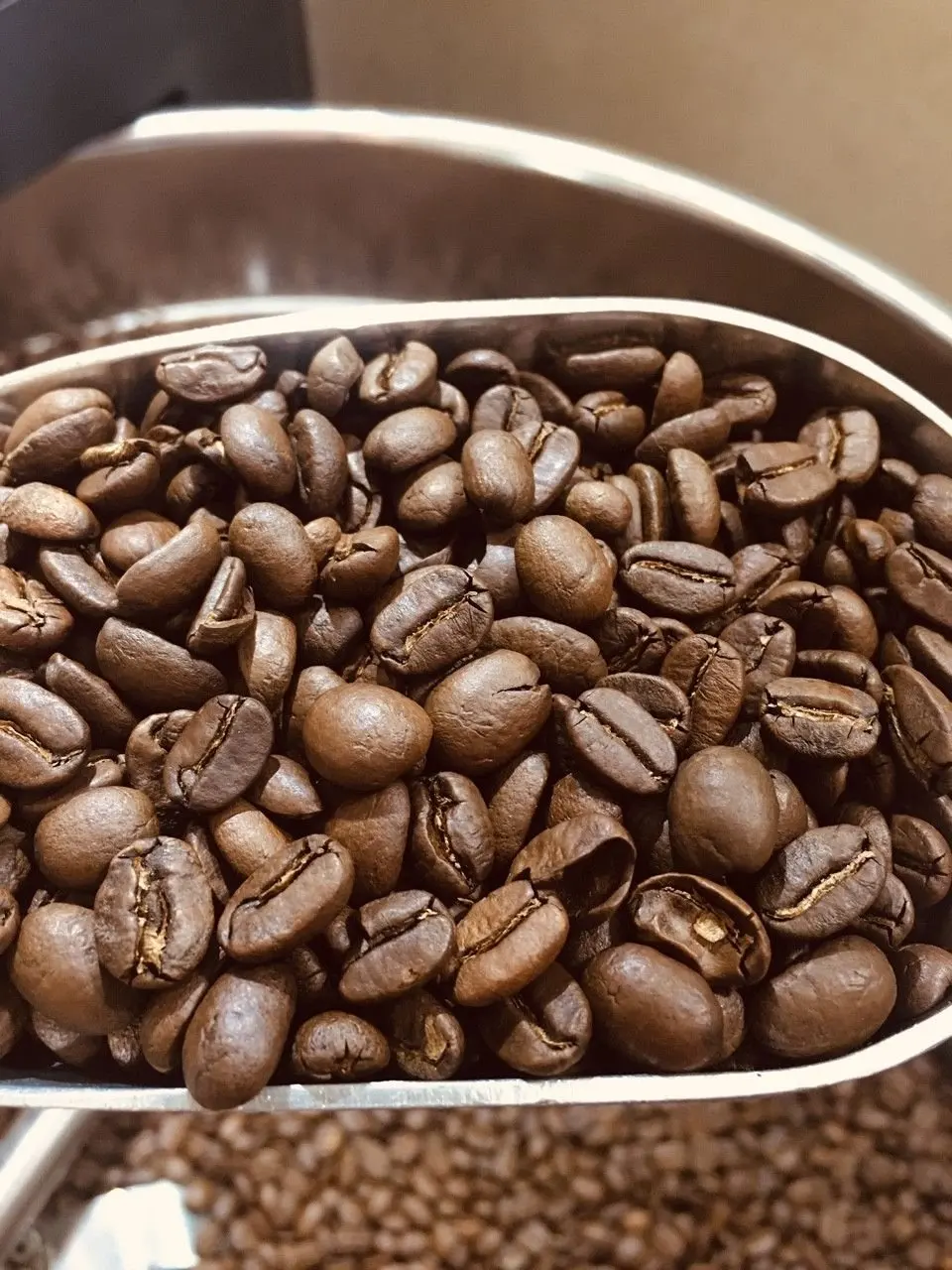 Aromatic Roasted Robusta / Arabica Coffee Beans Green Coffee Beans High ...