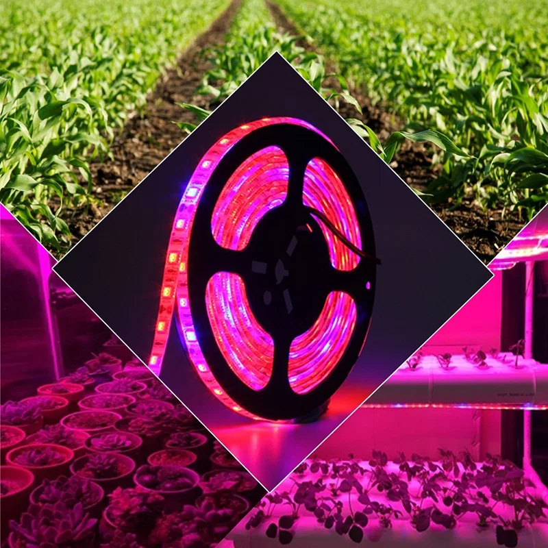 Hot Sale 12v Waterproof Greenhouse Hydroponic Led Grow Strip Lights ...