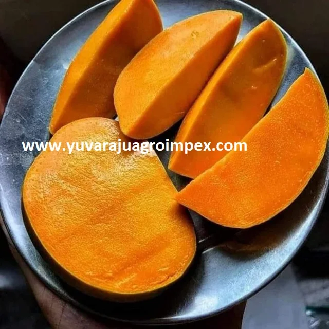 Fresh Premium Export Quality Indian Kesar Mangoes Exporters / Indian ...