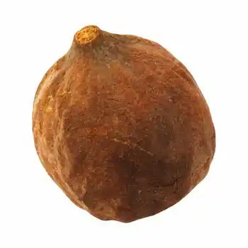 Dried Belleric Myrobalan Premium Quality Product For Supplements Food ...