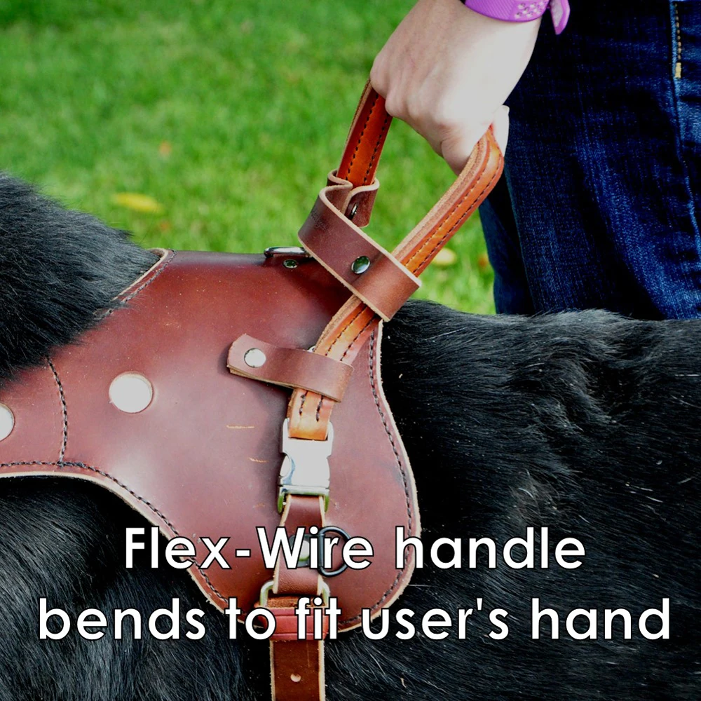 Dog Harness Dogs Real Leather Tracking Leather English Pointer Harness ...