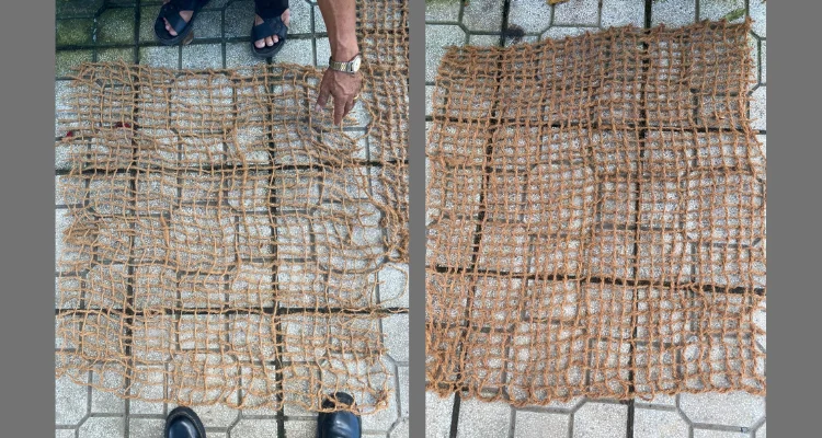Coir Mesh Roll Coir Fiber Control Blanket From Blue Lotus Vietnam: Best ...