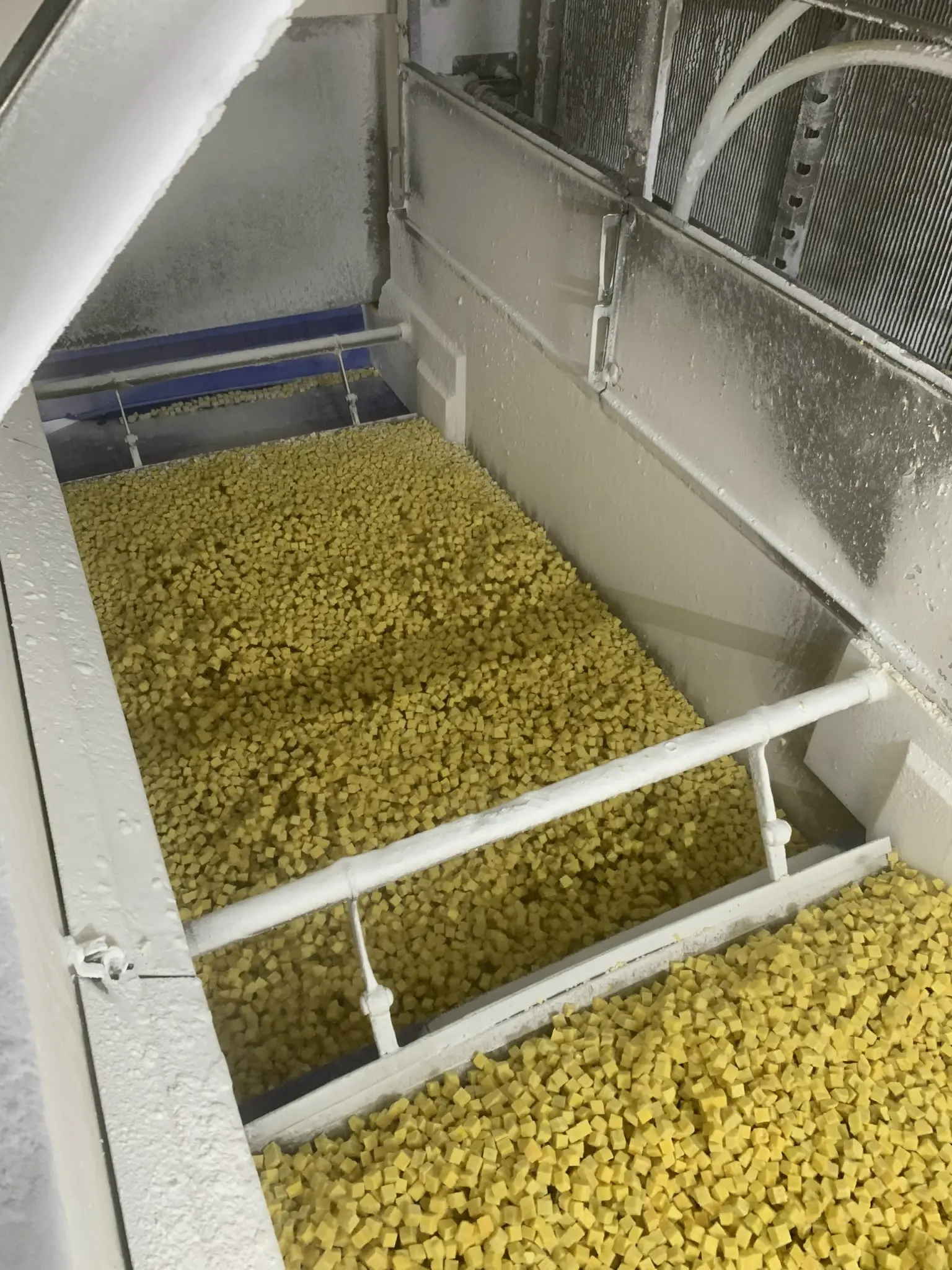 Frozen Sweet Potato Made In Vietnam For Export With High Quality Best ...