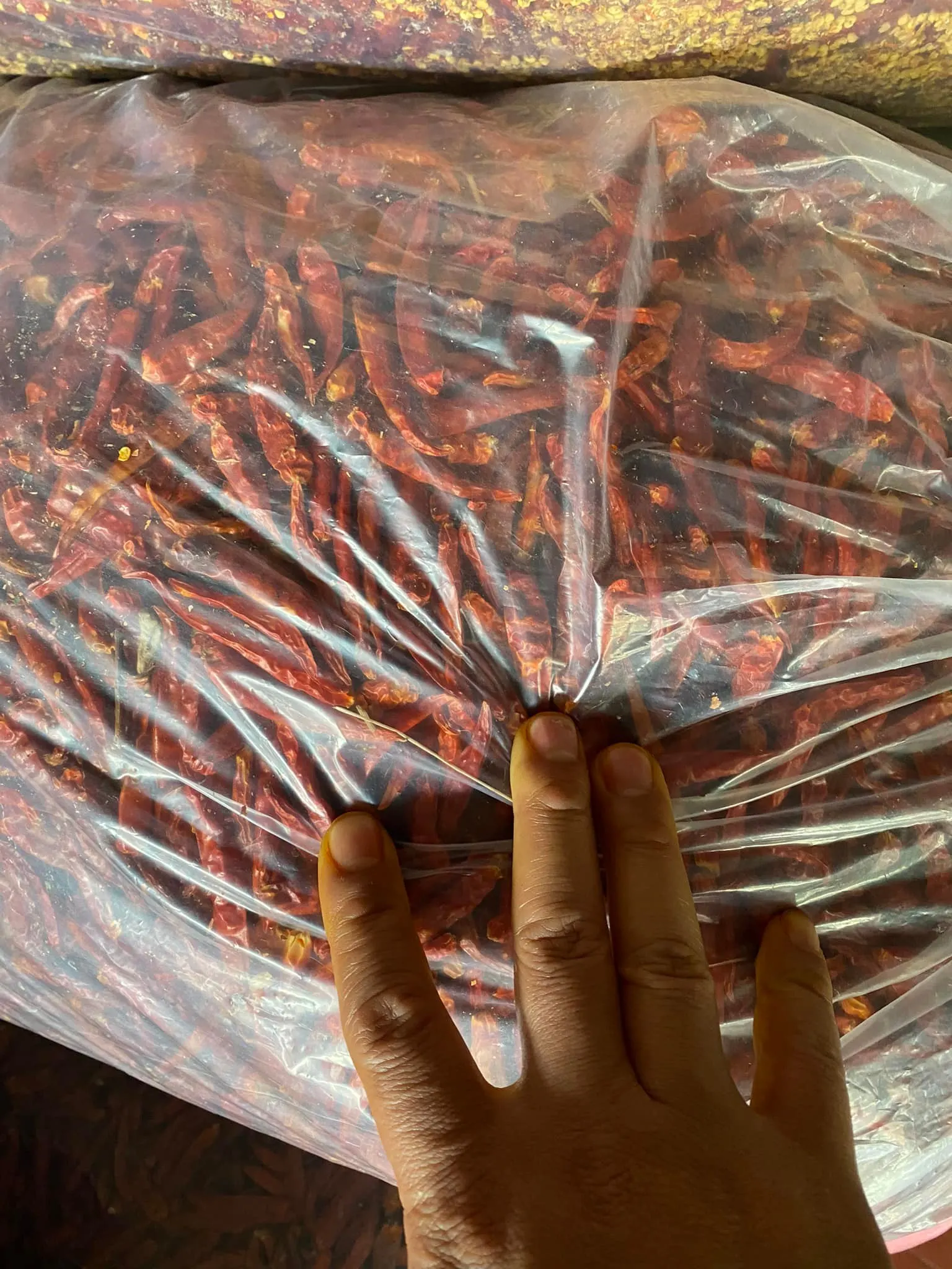 Natural Red Chillies Pepper Dried For Seasoning Ingredient/dried Red ...
