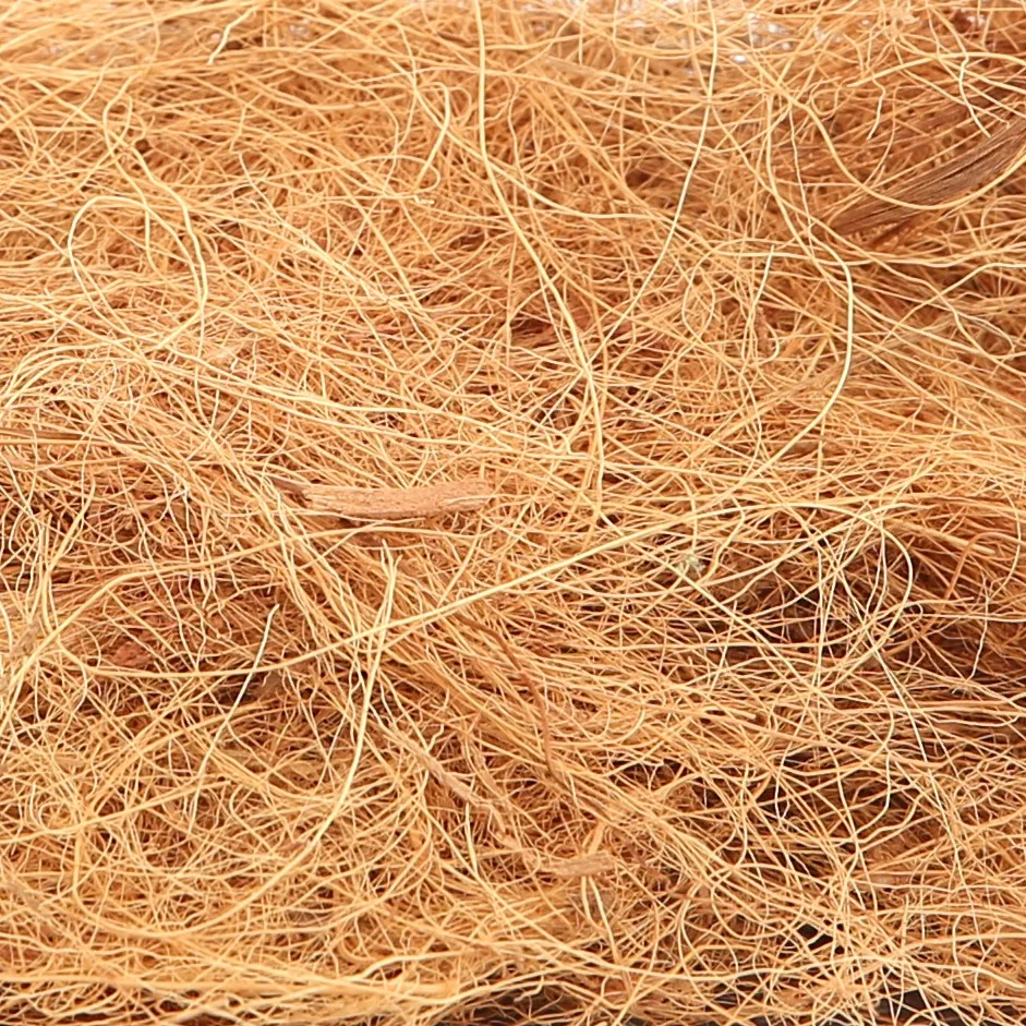 Bulk Sustainable Eco Friendly Coconut Fiber for Sale From Vietnam ...