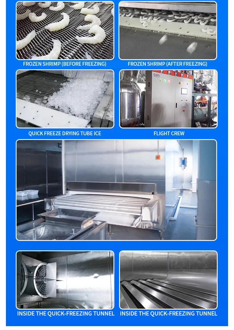 Iqf Tunnel Freezer With Solid Conveyor Belt For Seafood Fish - Buy ...
