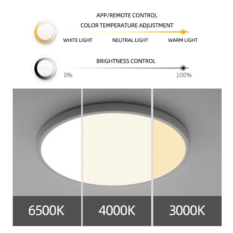 Modern Smart Ceiling Lights Colorful RGB Remote Control APP Home Smart ...