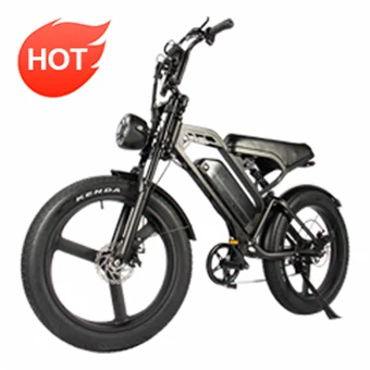 Company Overview - SMART RIDE TECHNOLOGY LIMITED