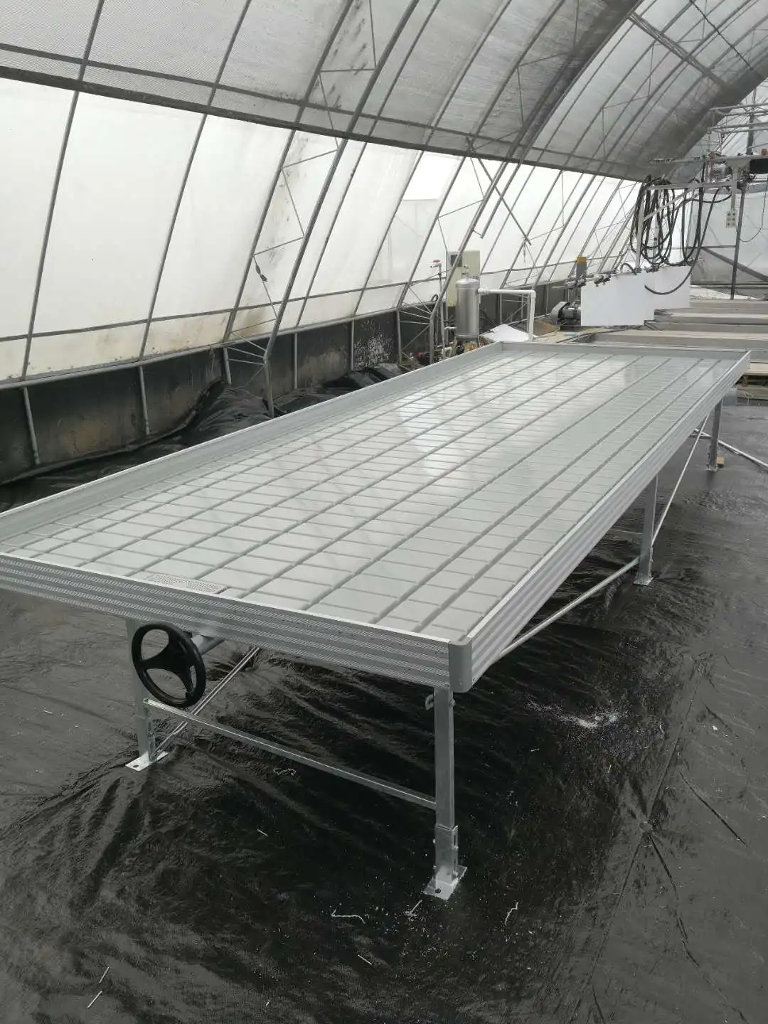 Greenhouse Hydroponics 4X8 Breeding Table - Ebb & Flood