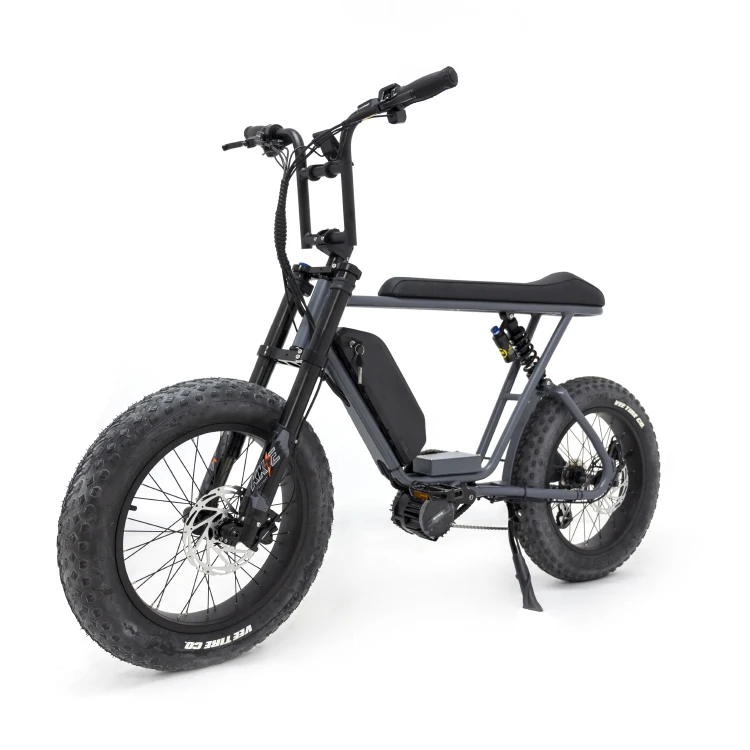 Mario Ebike Bafang Mid Drive Motor 1000w Electric Bike E Mtb Dirt ...