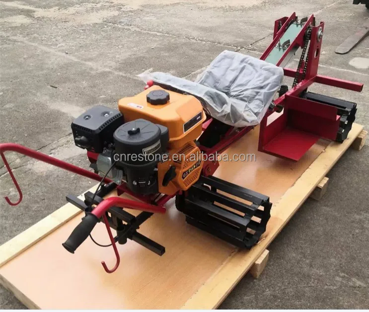 Efficient Ginger Seeding with Rt's New Design Planting Machine