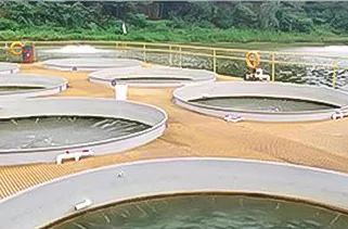 Ras Shrimp Farming Aquaculture System - Efficient & Durable