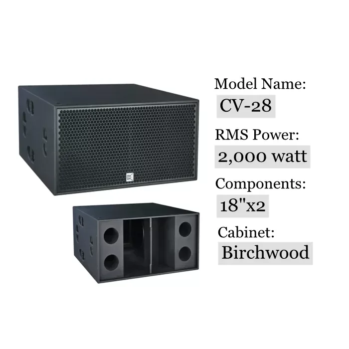 Dual 18 Inch Subwoofer - Powerful, Active, and Customizable