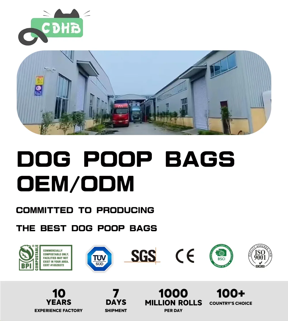 Unscented Hypoallergenic Sensitive Skin Solution for Dogs and Owners ...