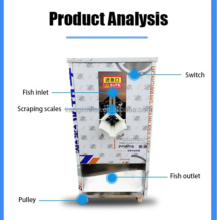 Best Quality Fillet Processing Viscera Removing Fish Scaling Machine ...