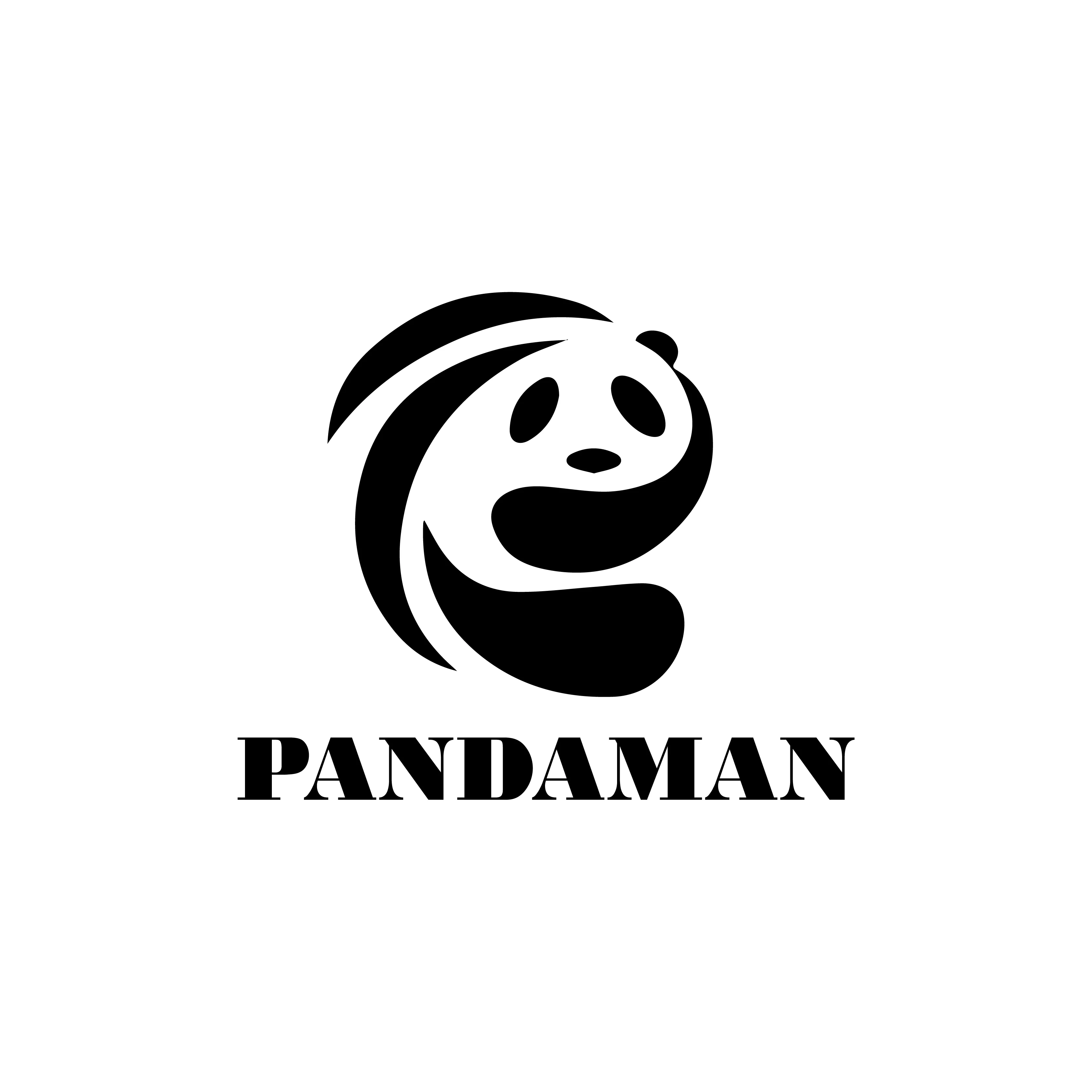 Company Overview - Changsha Pandaman Technology Co., Ltd.
