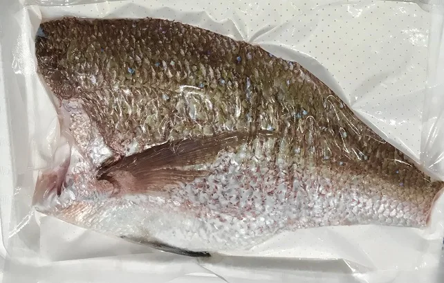 Frozen Red Seabream Fillet Japan Fish - Buy Japan Fish,Snapper,Red ...