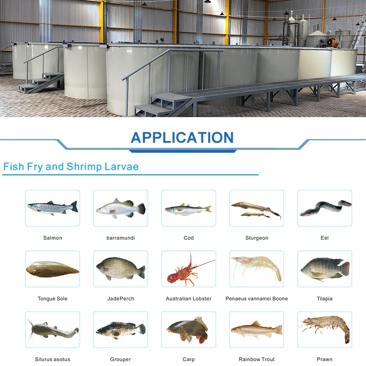 RAS Indoor Fish Shrimp Farming Equipment - High Density