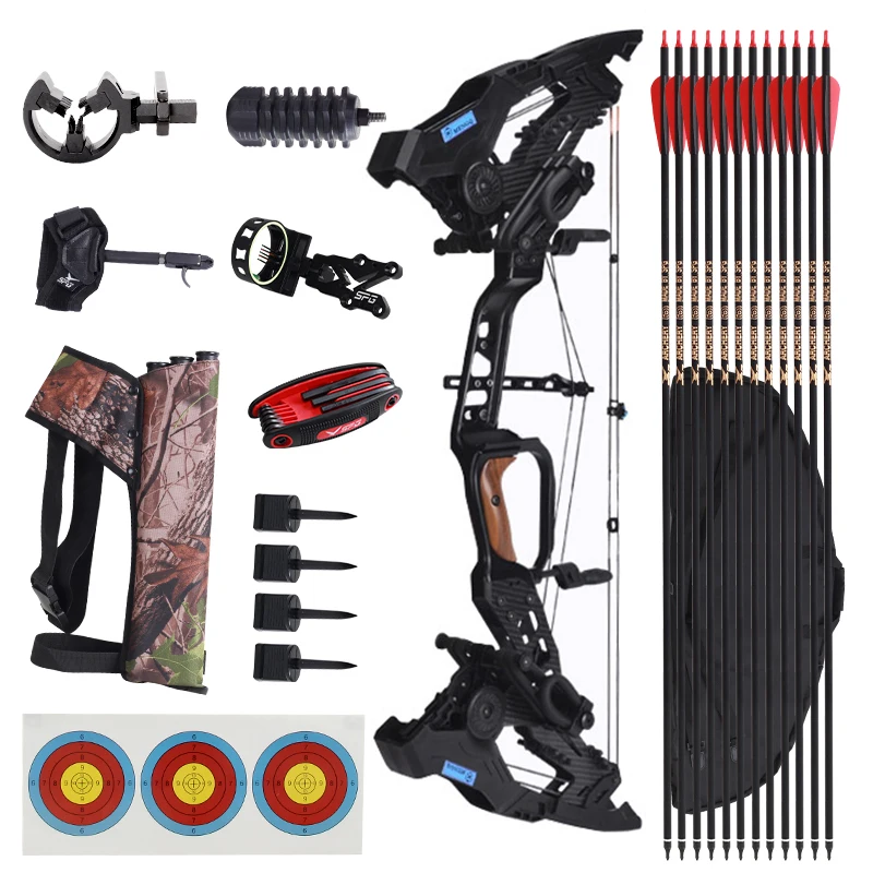 Steel Ball Compound Bow & Arrow Set 20-80LBS for Hunting