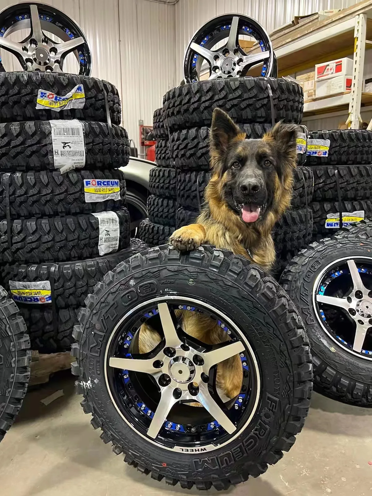 Upgrade Your Car with Black and Red Alloy Wheels 15 Inch