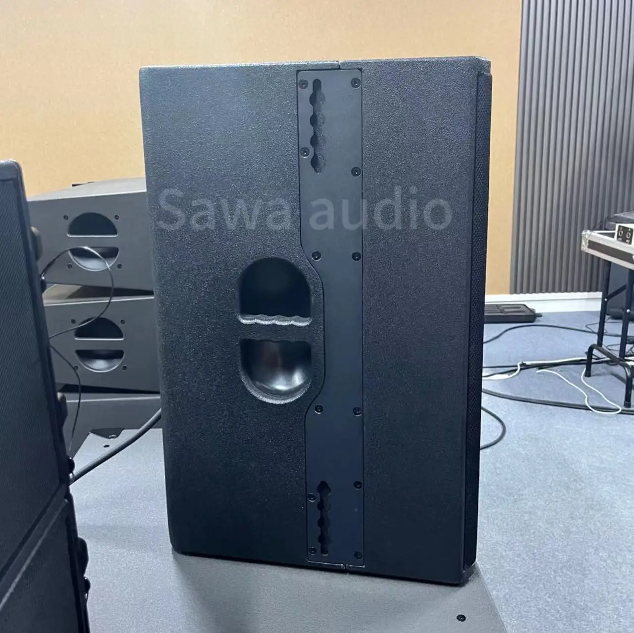 T24N Dual 12'' Stage Speakers - Powerful PA Audio System