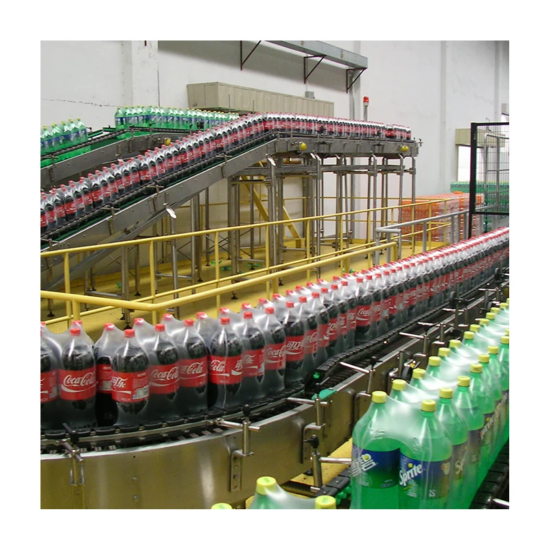 Roller Conveyors Transport For Packed Boxes Cartoning Packing Machine ...