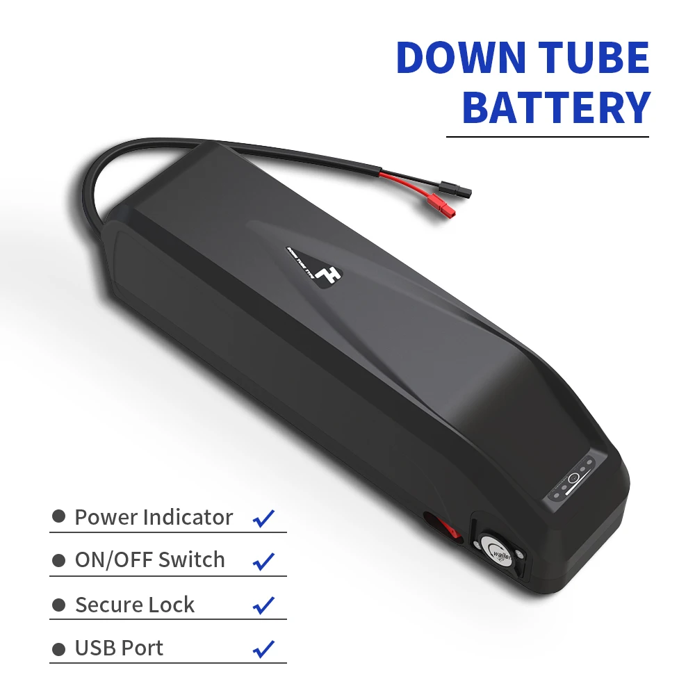 Hailong 48V 20Ah EBike Battery Pack for 250W-1000W Motors - Reliable ...