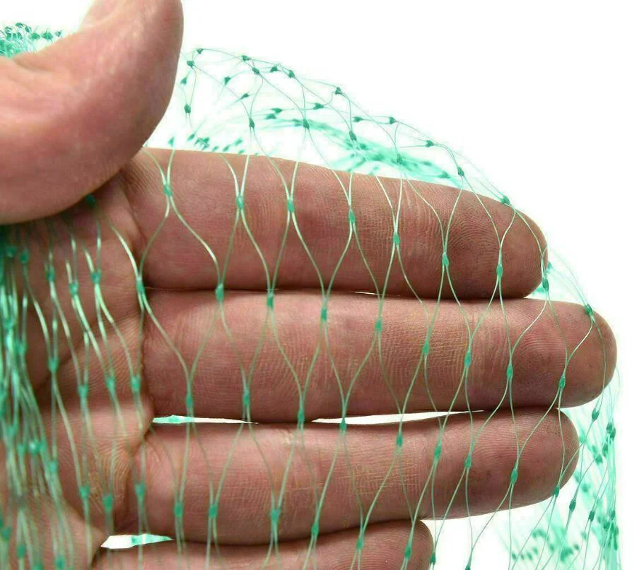 Protect Fruit Trees from Birds with Extra Strong Garden Mesh Net